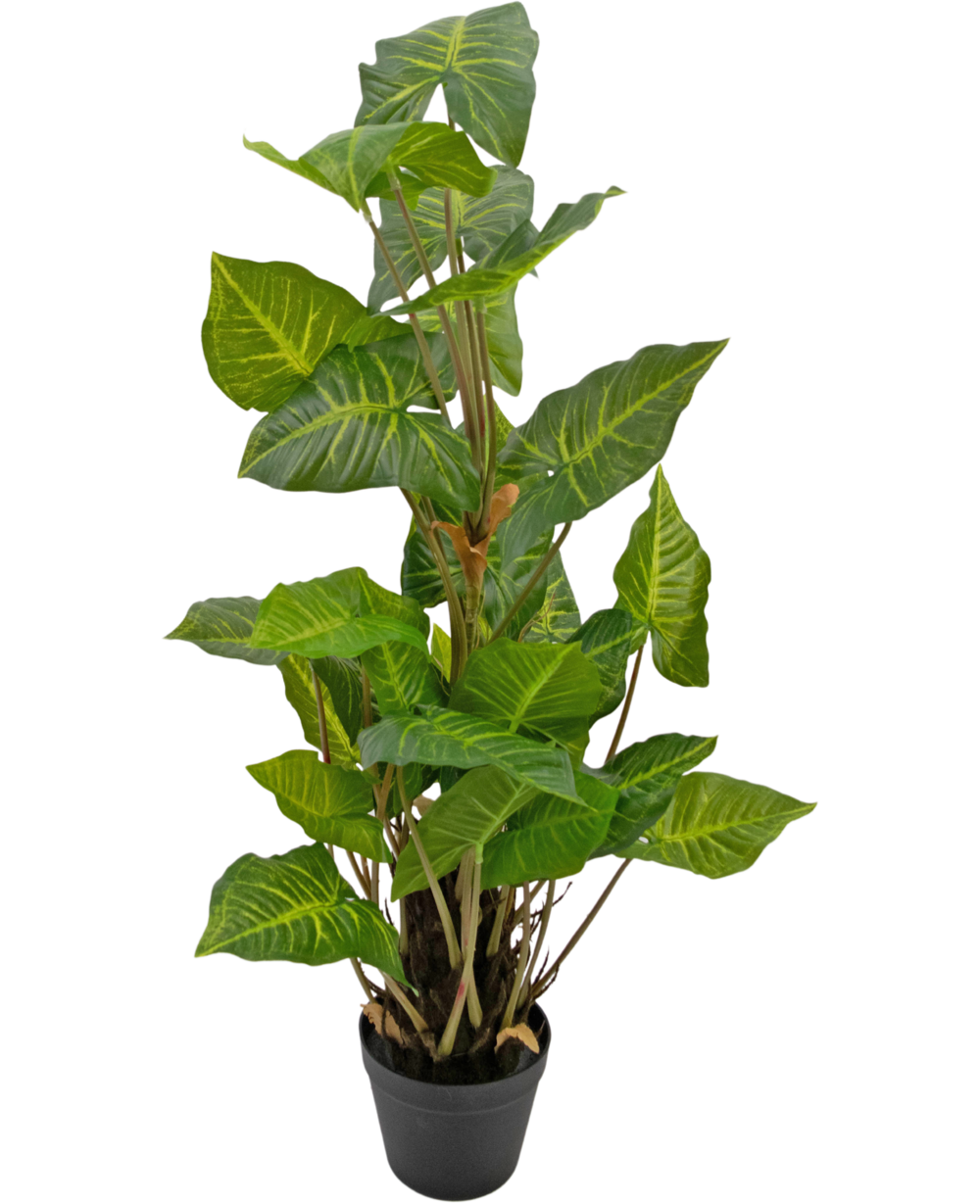 Plante artificielle trapa bispinosa 90 cm verte | Truffaut