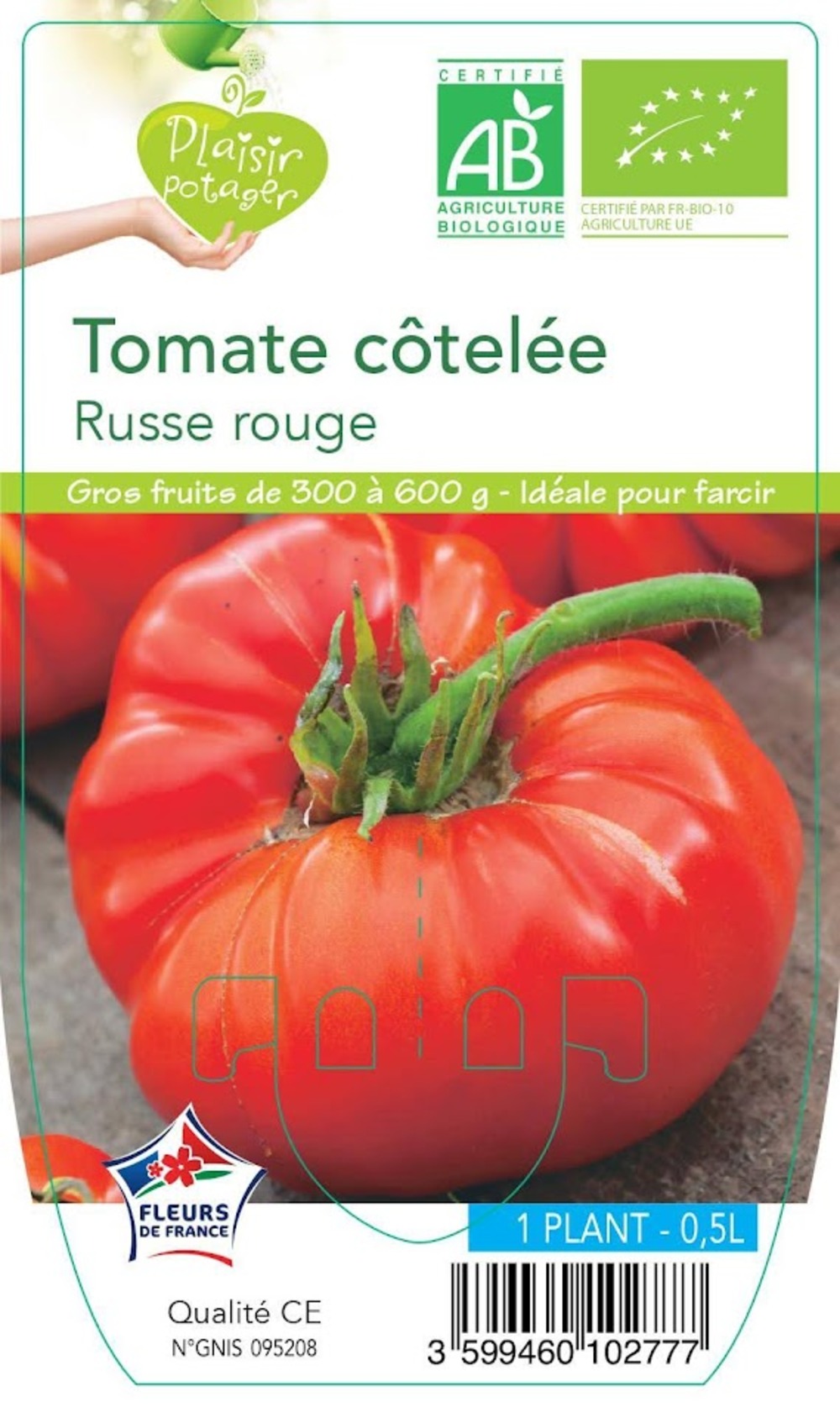 Tomate russe rouge -plant ab en pot 0.5 l-plante du jardin | Truffaut