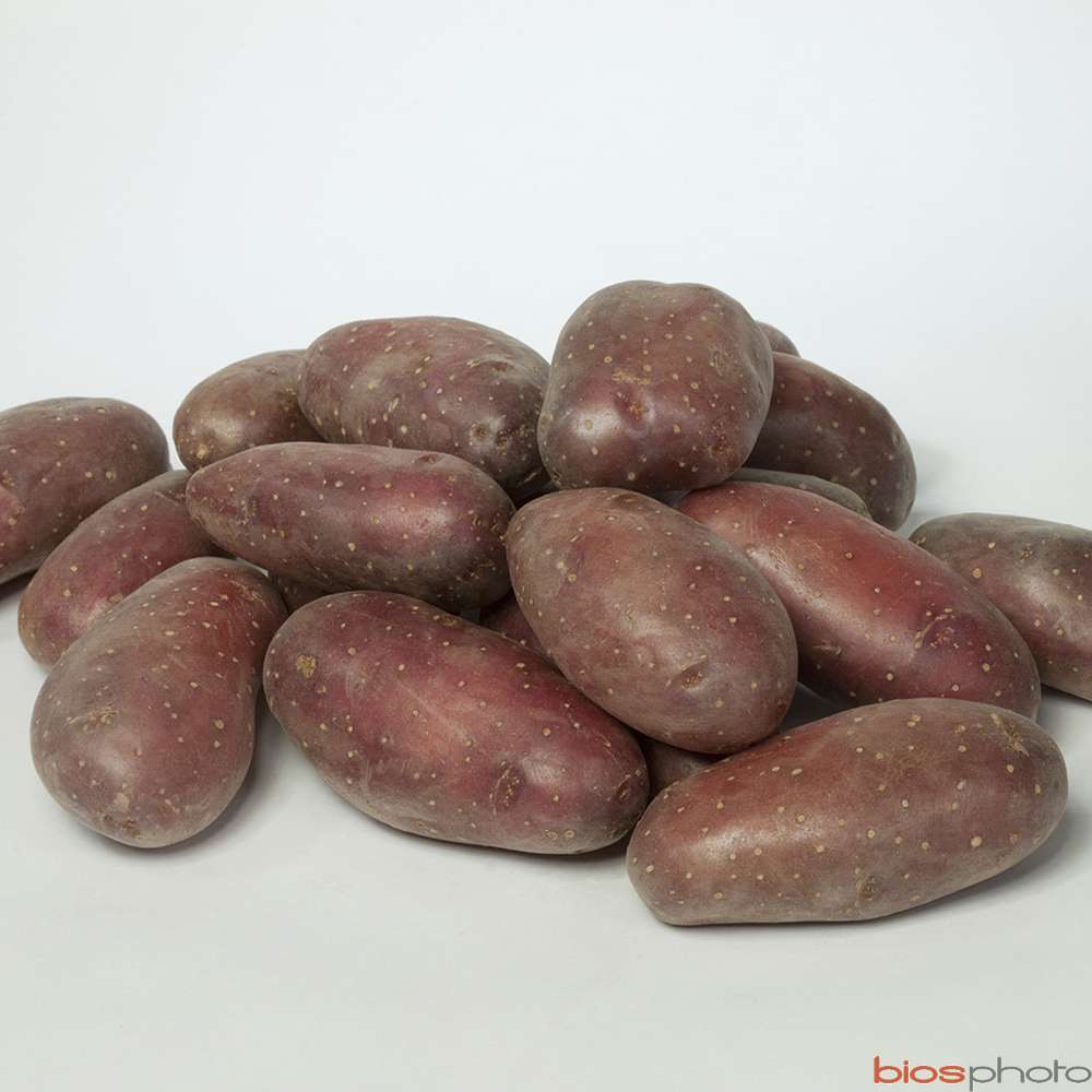 "Culture de pommes de terre Franceline: conseils et astuces"