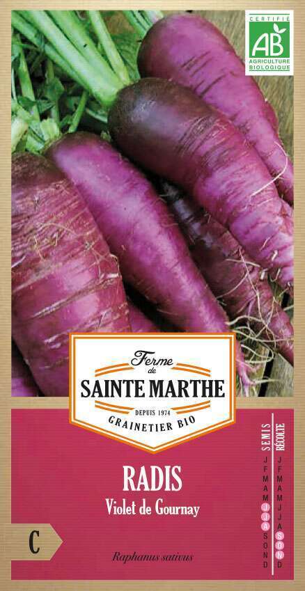 "Comment cultiver des radis rave dans votre jardin?"