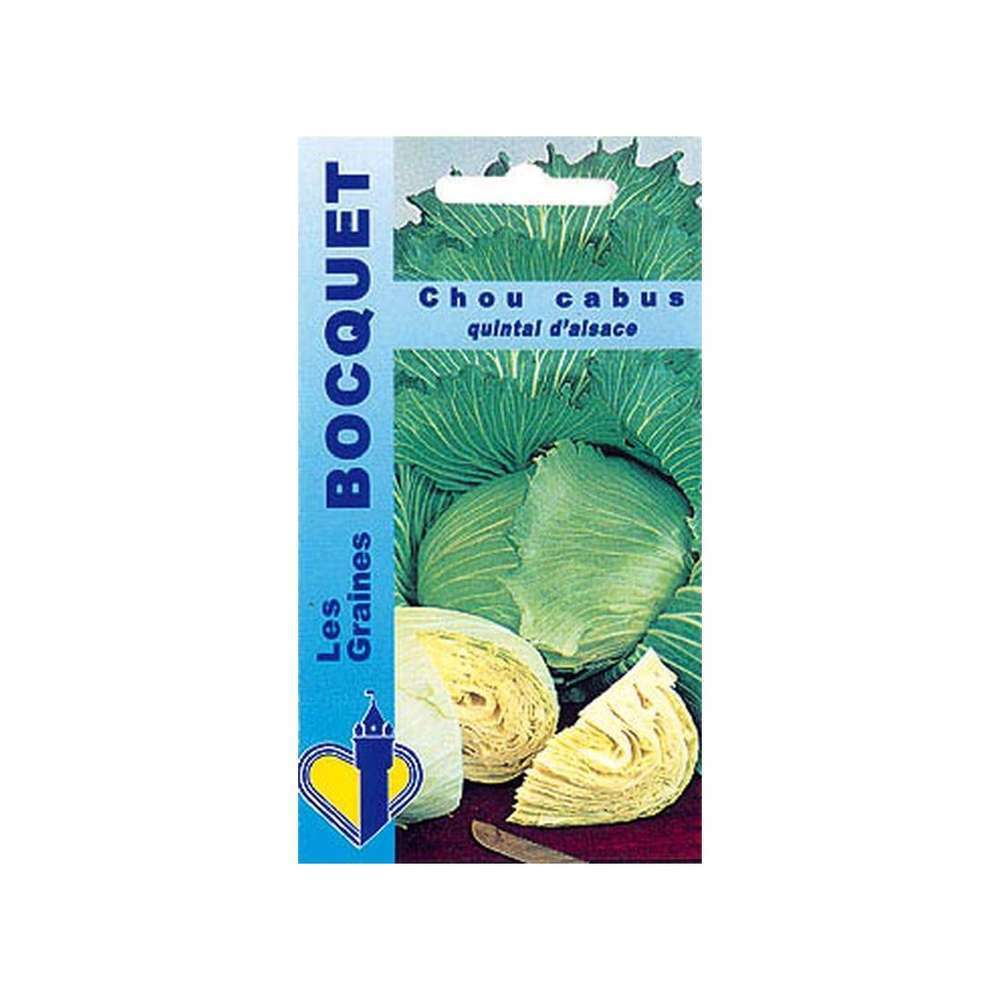 "Chou cabus de Brunswick : comment le cultiver et le cuisiner"