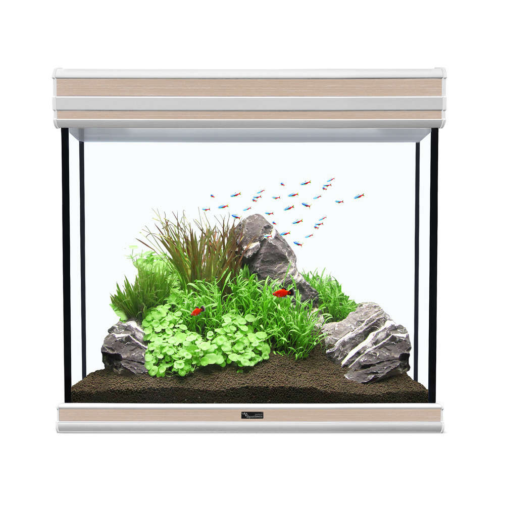 "Aquatlantis Fusion : L'alliance parfaite pour votre aquarium"