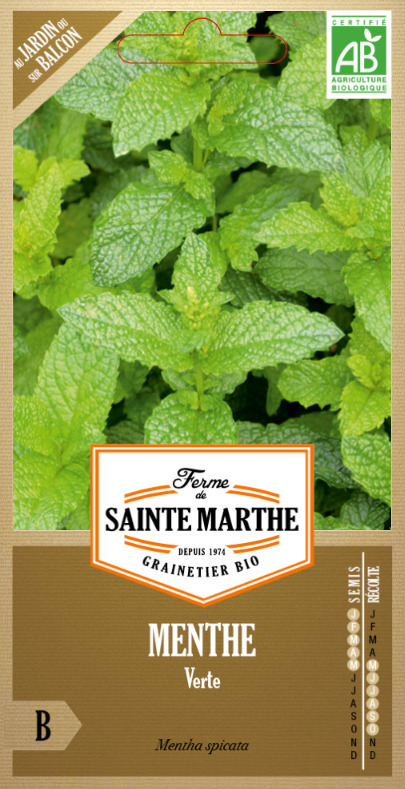 Menthe verte bio: bienfaits et utilisation.