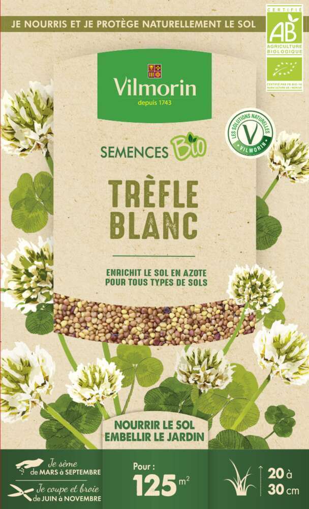 "Semence de trèfle blanc : comment semer pour un jardin prospère"