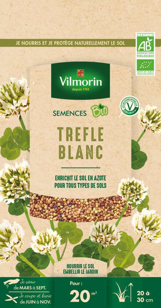 "Semence de trèfle : conseils pour une plantation réussie"