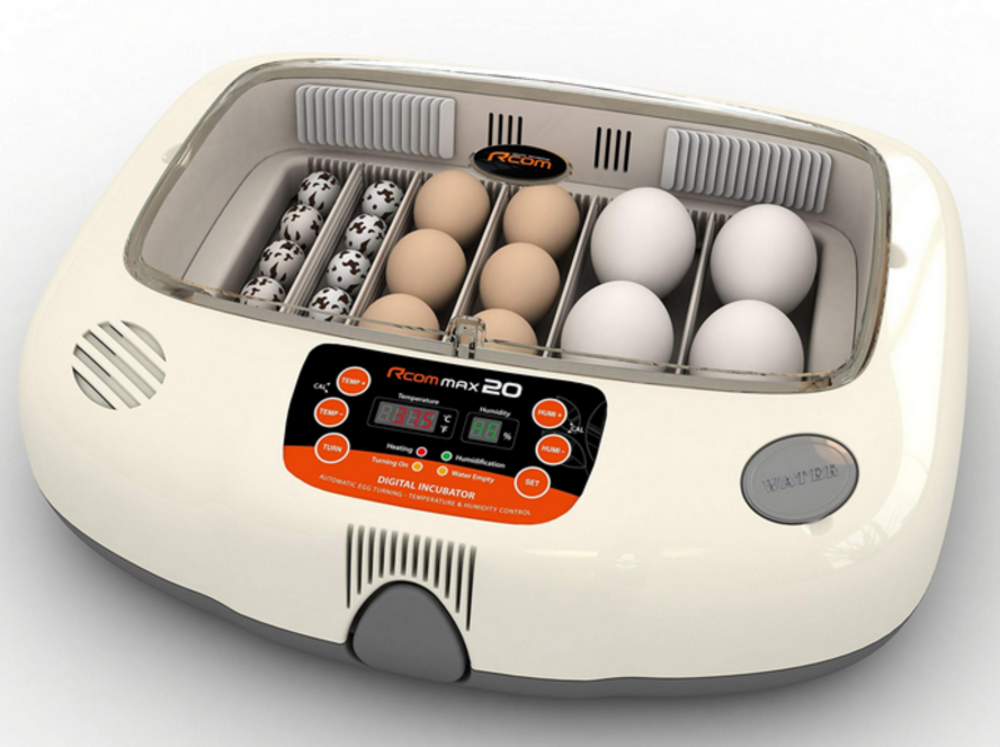 Couveuse rcom 20 max | Truffaut