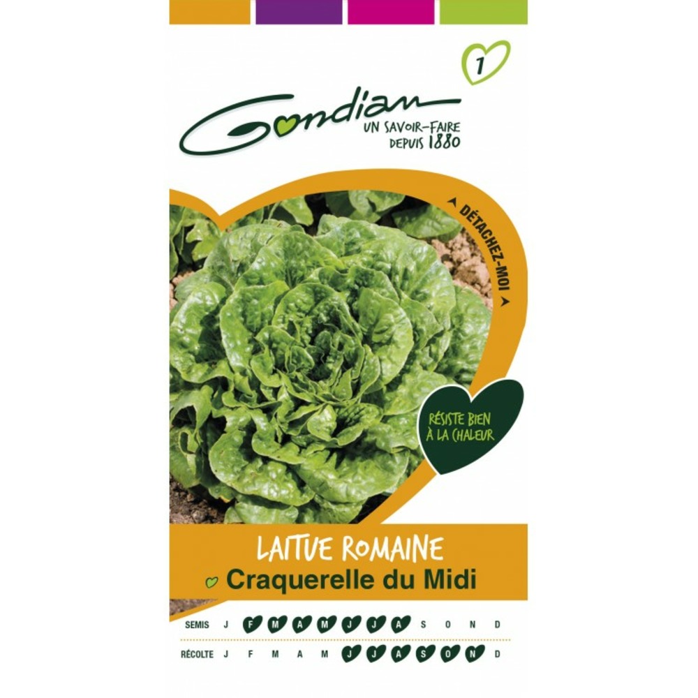 Laitue romaine craquerelle du midi | Truffaut Laitue romaine craquerelle du midi | Truffaut