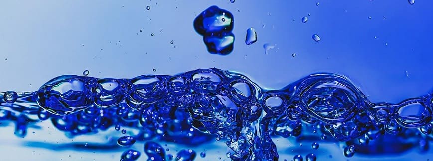 Bulleur pour aquarium : types et installation | Truffaut