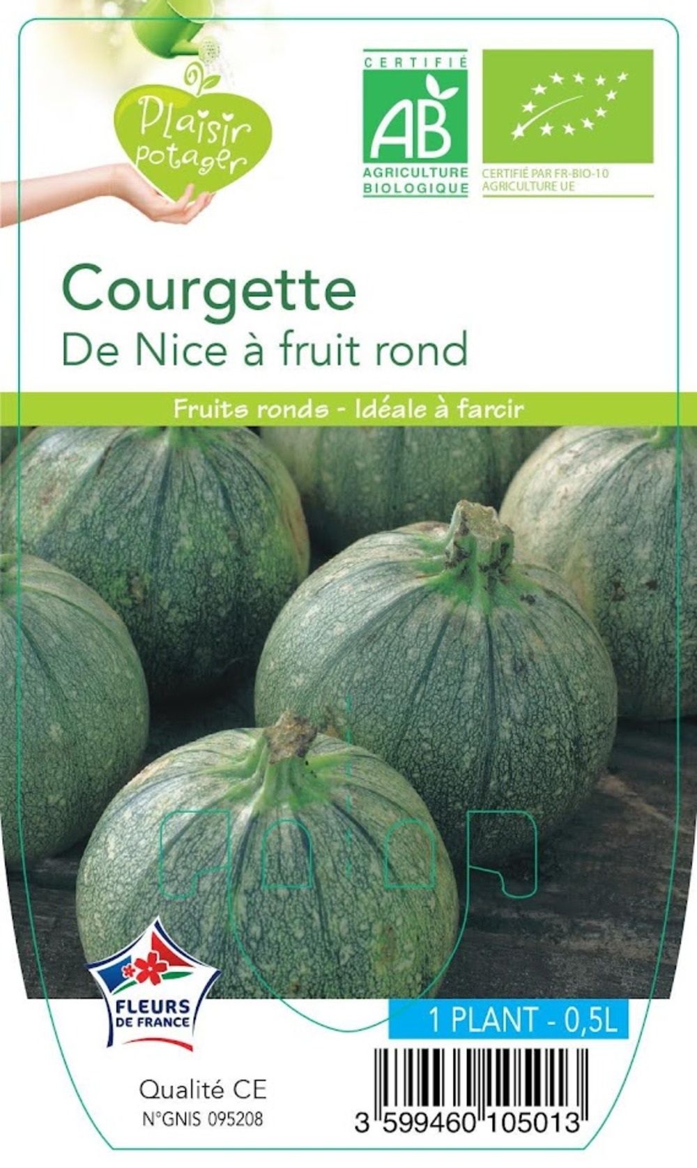 Courgette de nice à fruit rond -plant ab en pot 0.5 l- plante du jardin ...