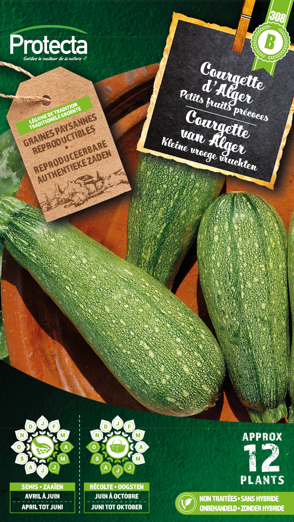Courgette d'alger – protecta graines paysanne - ca. 4 gr (livraison ...