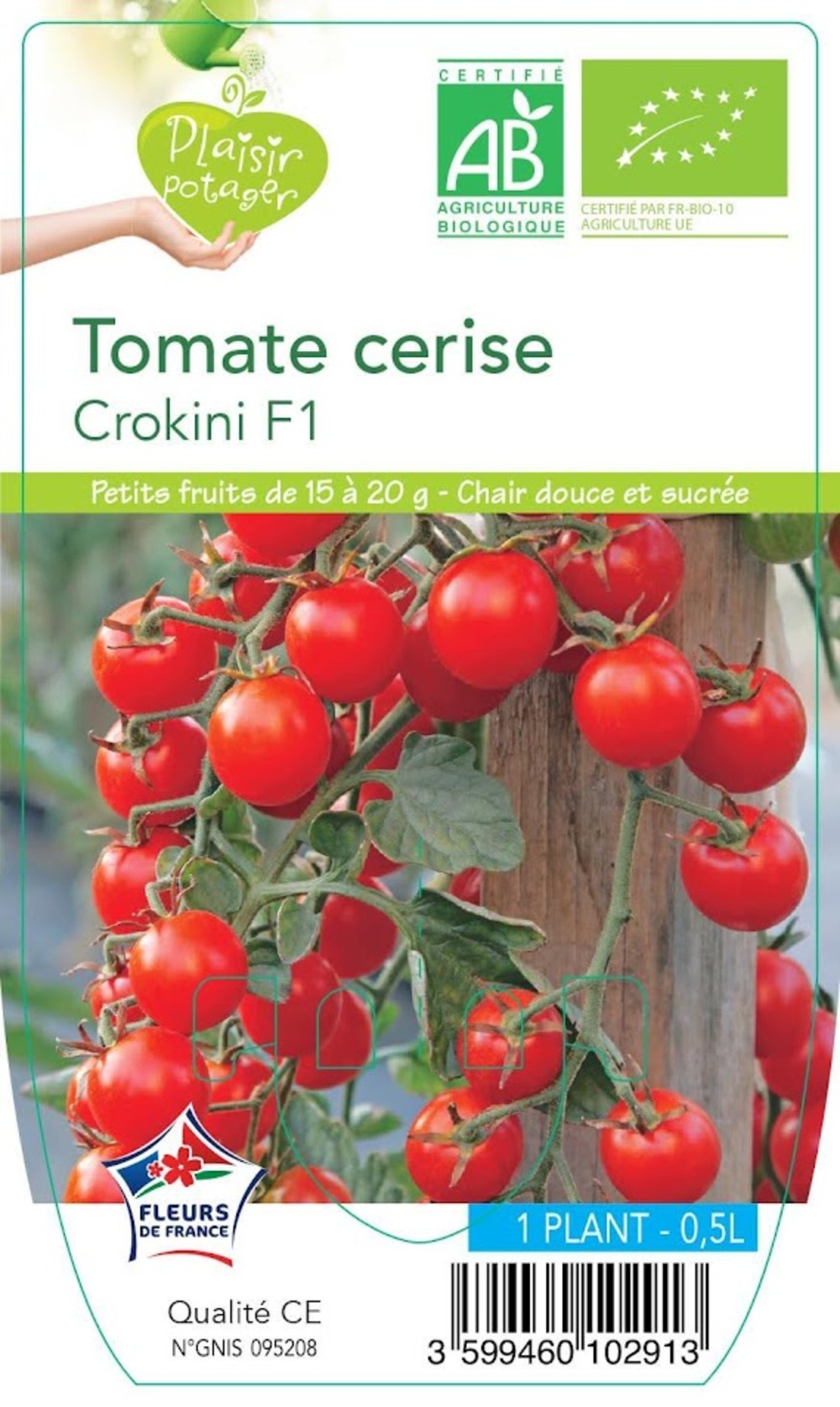 Tomate cerise crokini f1 -plant ab en pot 0.5 l-plante du jardin | Truffaut