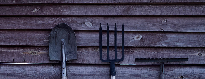 Bien choisir sa bêche de jardin | Truffaut