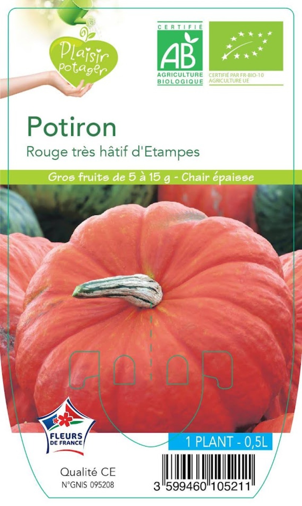 Courge potiron rouge vif d'étampes -plant ab en pot 0.5 l- plante du ...