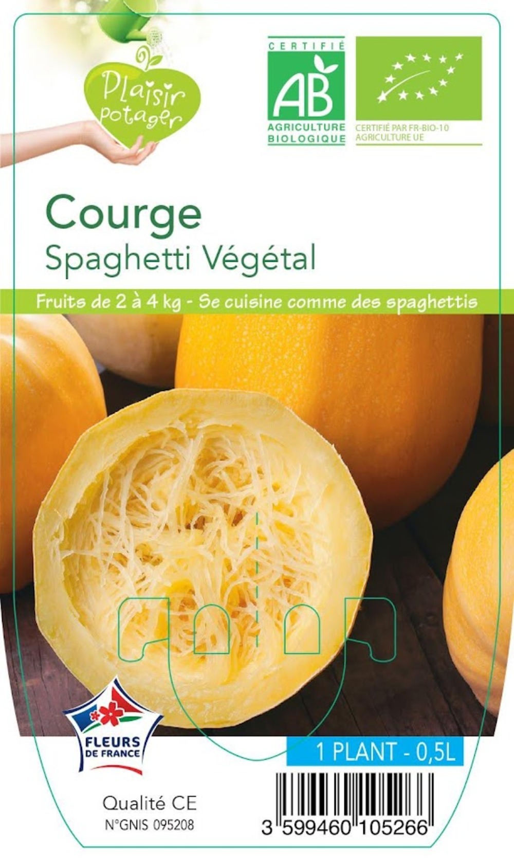Courge spaghetti -plant ab en pot 0.5 l- plante du jardin | Truffaut