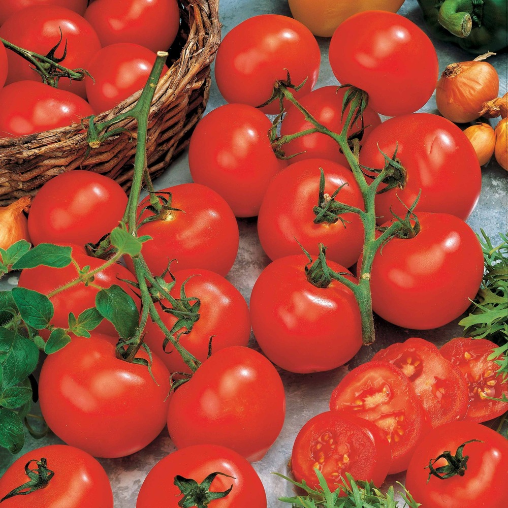 Tomate vitador f1, le sachet / 50 graines | Truffaut