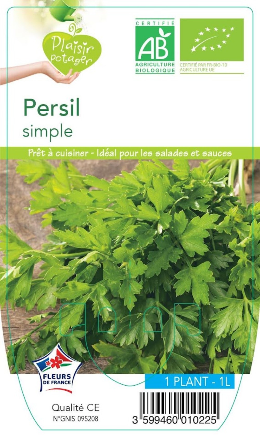 Persil à feuilles simples plante ab pot 1l - plant d'aromatique du ...