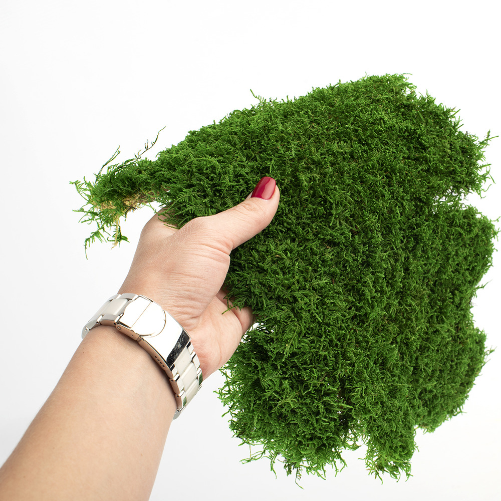 Mpv/2500 mousse plate stabilisée vert carton en vrac 2 | Truffaut