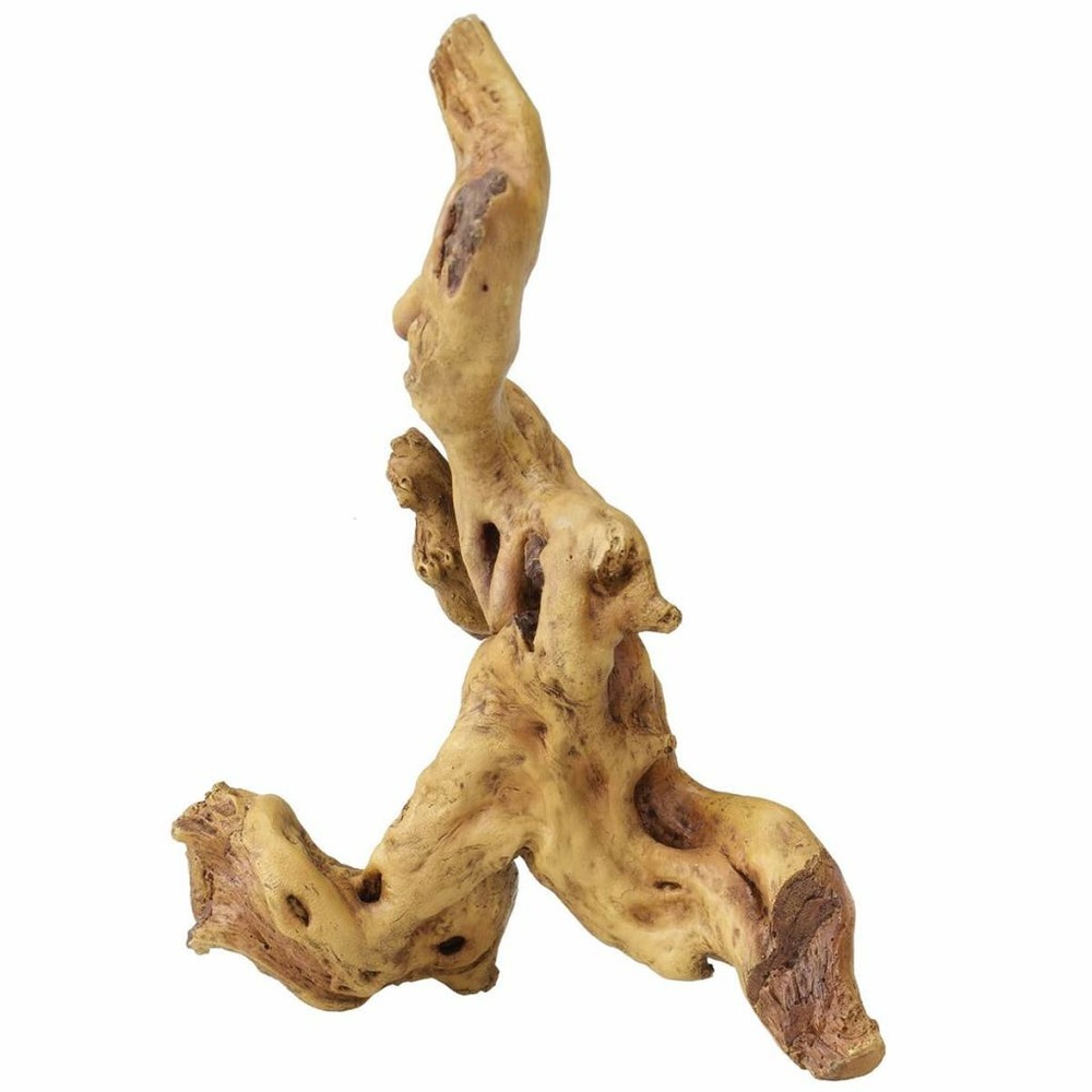 Racine de café 4 24 x 19,5 x 14 cm marron 234/421628 | Truffaut