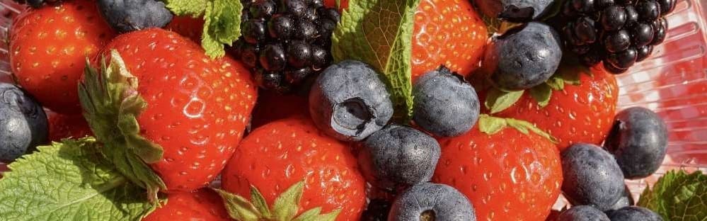 Comment planter et entretenir vos petits fruits ? | Truffaut