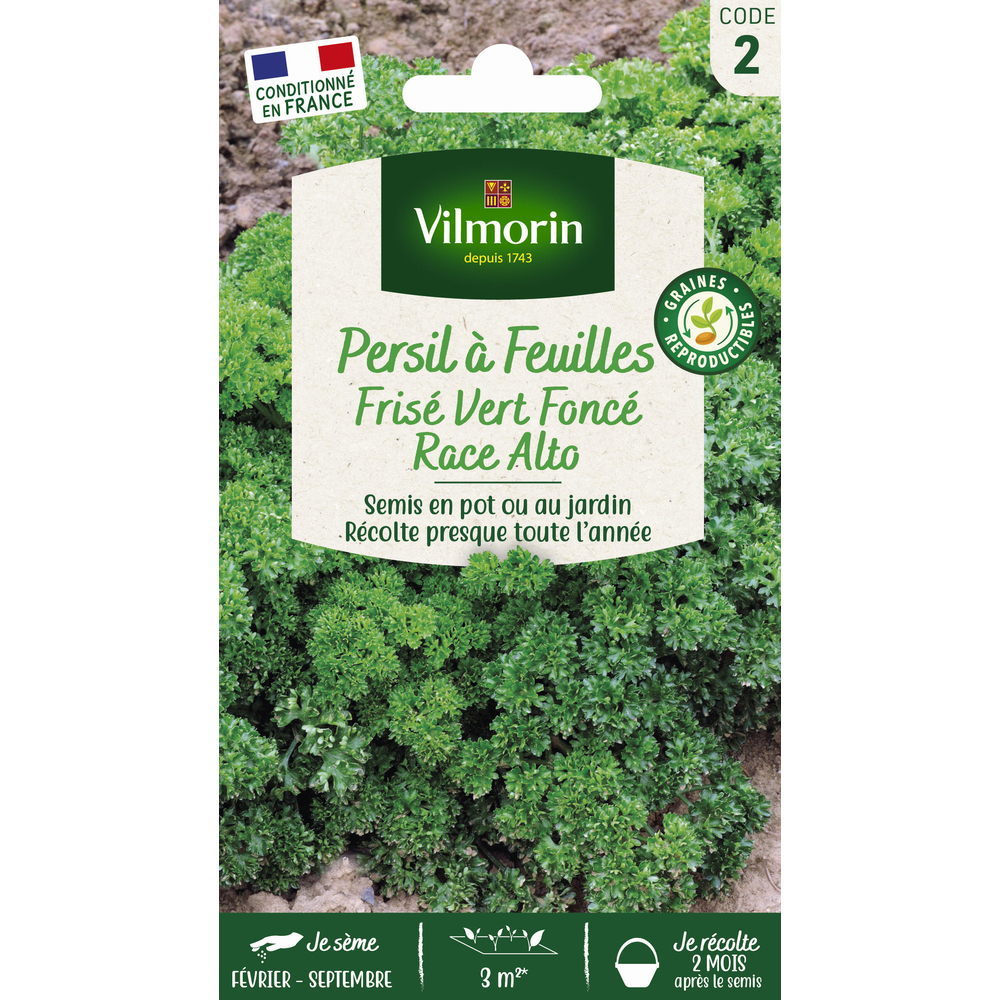 Graines de persil frisé alto en sachet Vilmorin | Truffaut