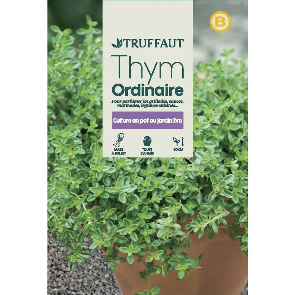 Graines de thym commun en sachet Truffaut | Truffaut