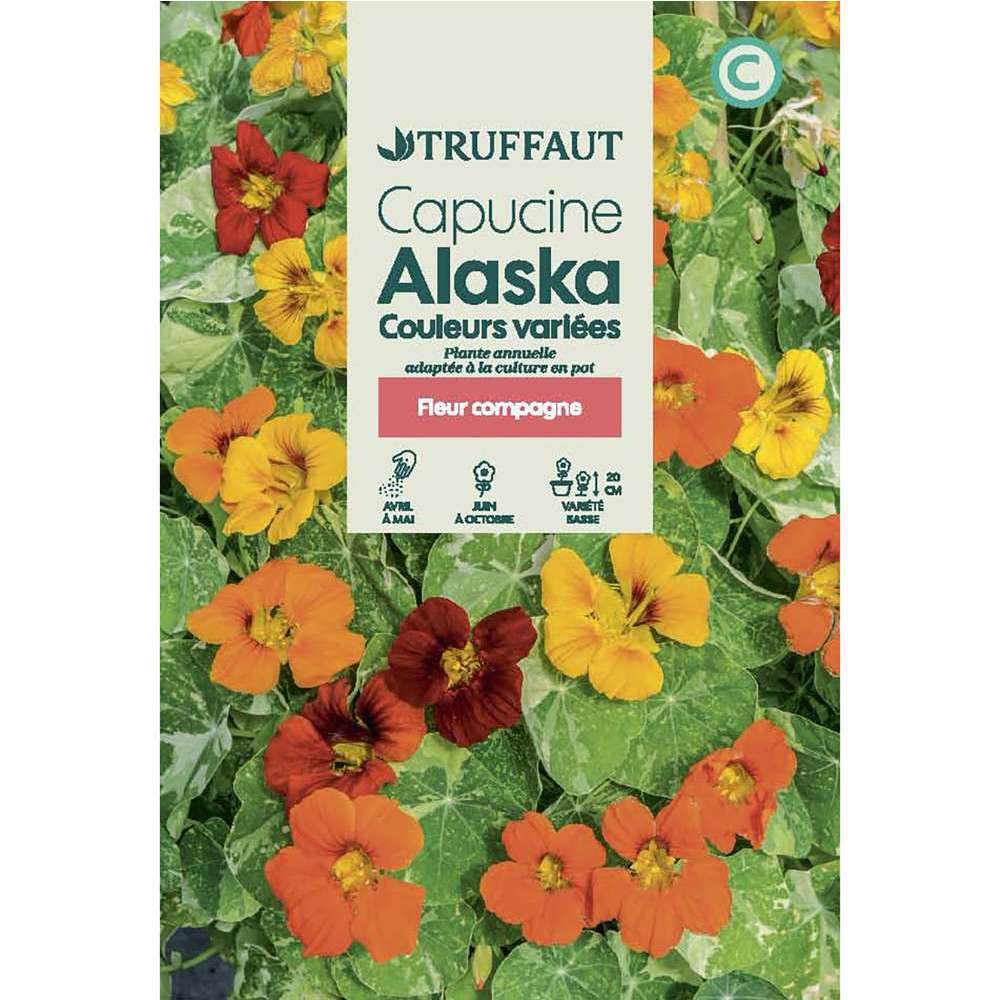 Capucine Alaska couleur variée : En sachet Truffaut | Truffaut