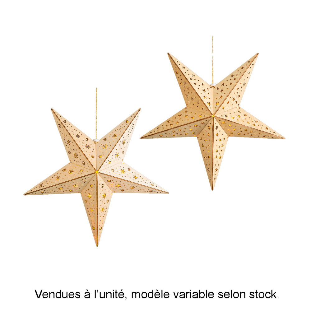 Décoration de Noël Etoile Micro LED Blanches sur Pile 40cm | Truffaut