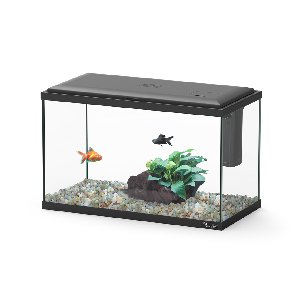 Aquarium équipé Smart noir - 22 litres | Truffaut