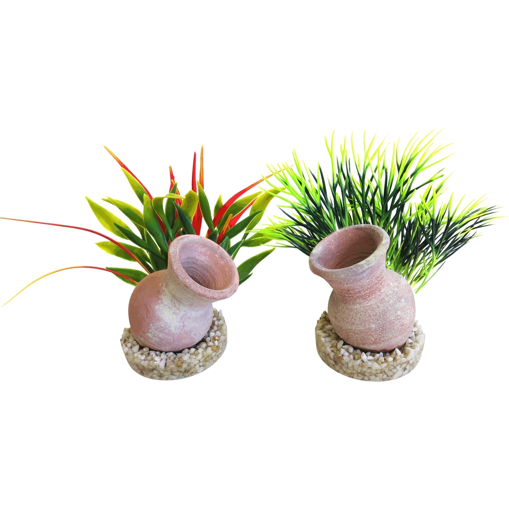 Décor aquarium Tyrol mini jarre plantes | Truffaut