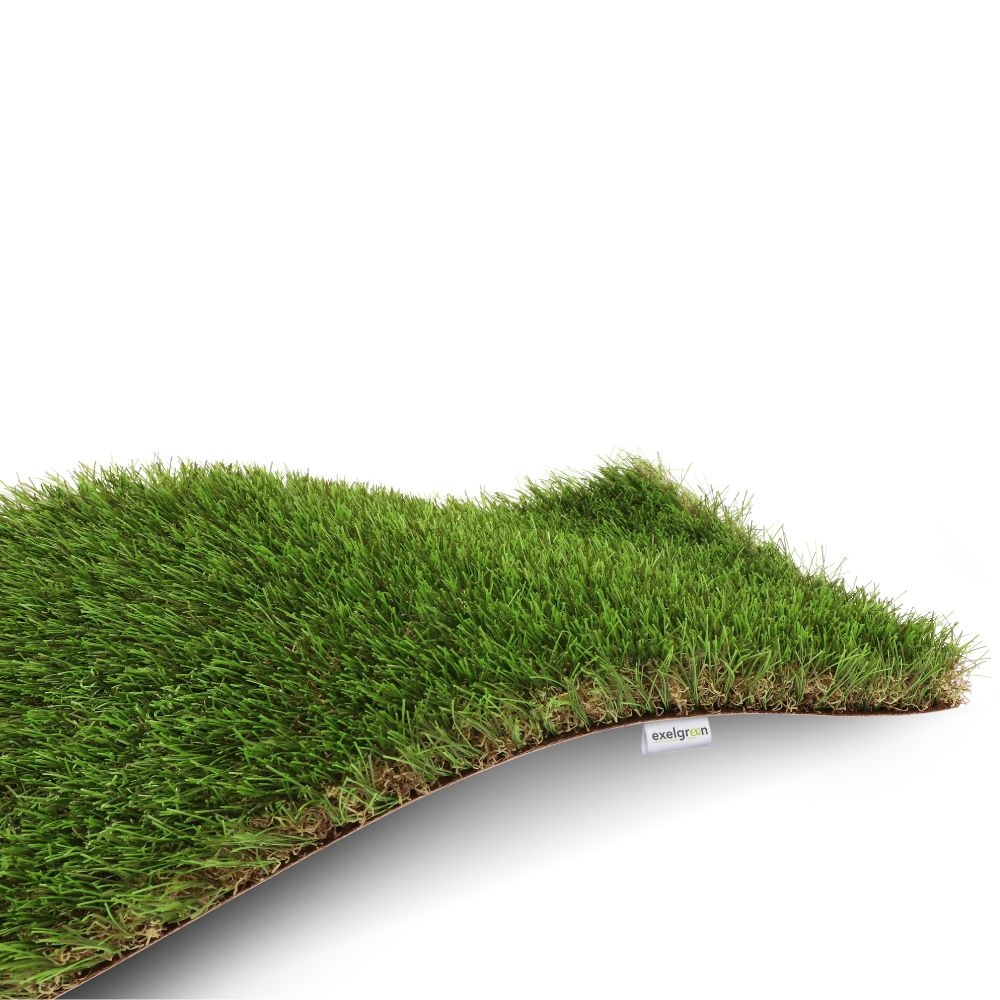 Pelouses et Gazons : pour un Jardin Verdoyant | Truffaut