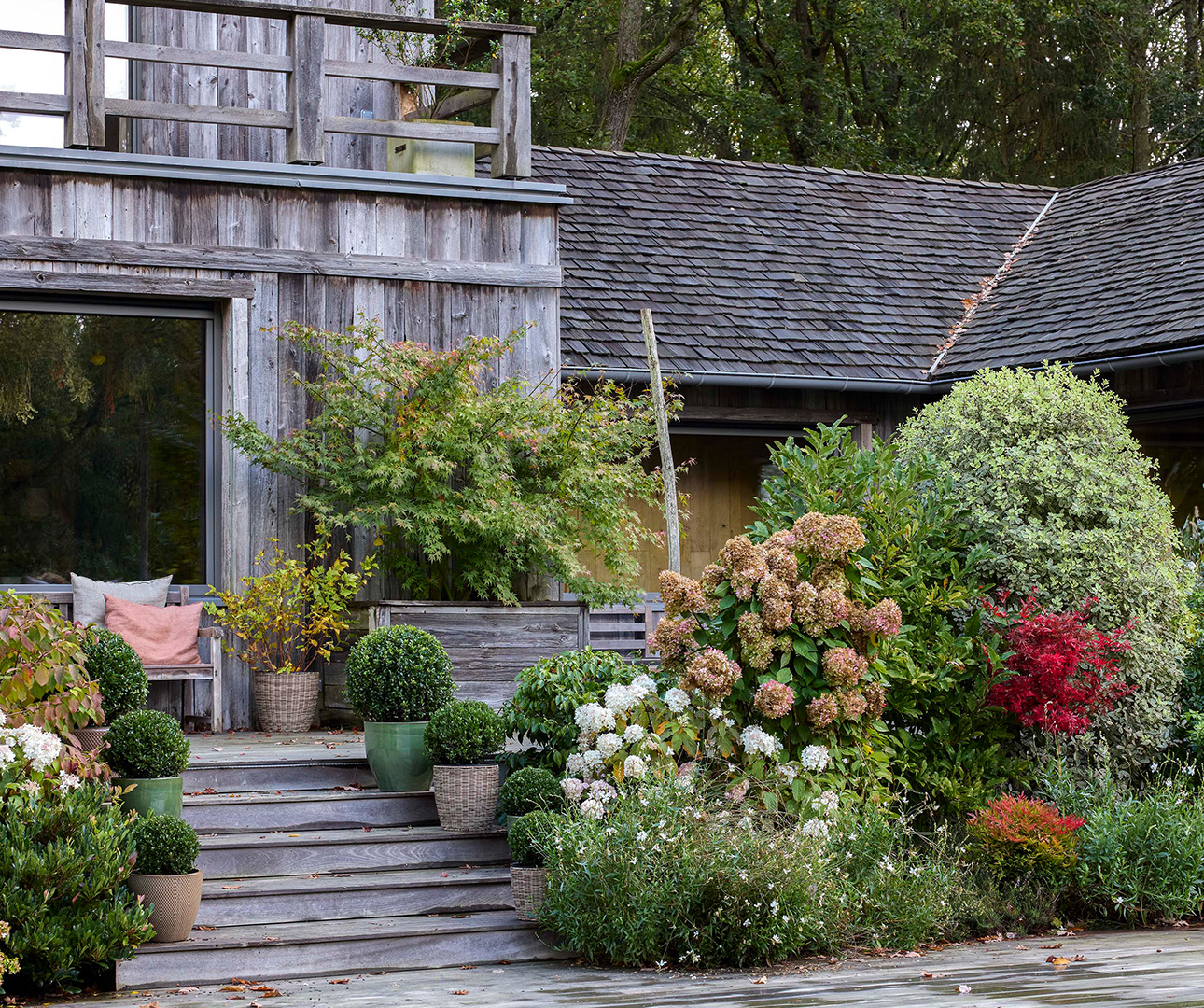 Jardinerie Paris Montparnasse - 14ème arrondissement | Truffaut