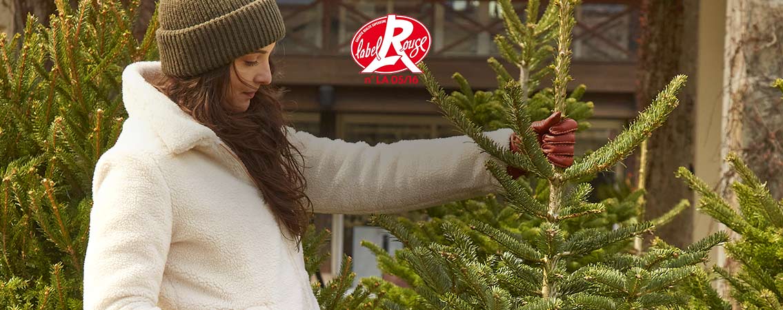 Plantes : fleurs, potager, fruitiers, plantes d'intérieur | Truffaut