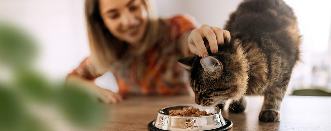 Animalerie en ligne : chien, chat, poissons, poulailler | Truffaut