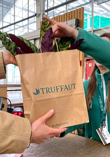 Jardineries Truffaut : spécialiste jardin, animaux & maison | Truffaut